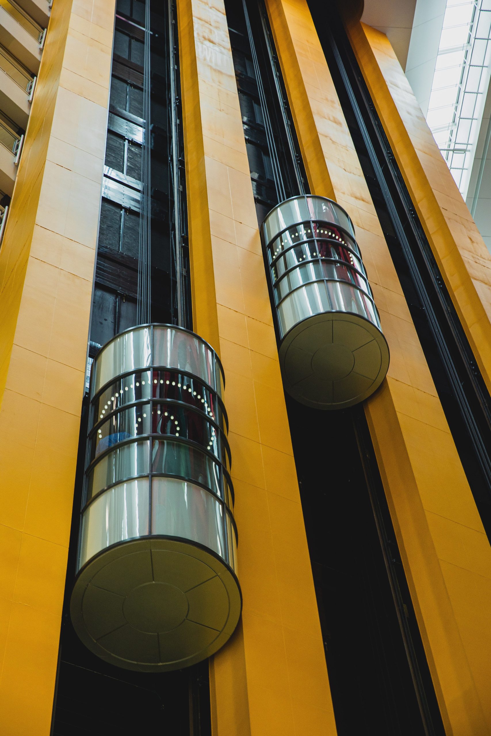 The Ups and Downs of Elevator History - Buckley Elevator